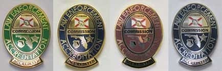 CFA Lapel Pins – Florida Accreditation